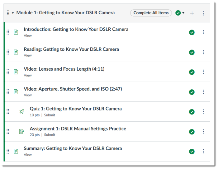 Quick Tips IMPROVE Series, Part 2: Modules Overview | Kent State University